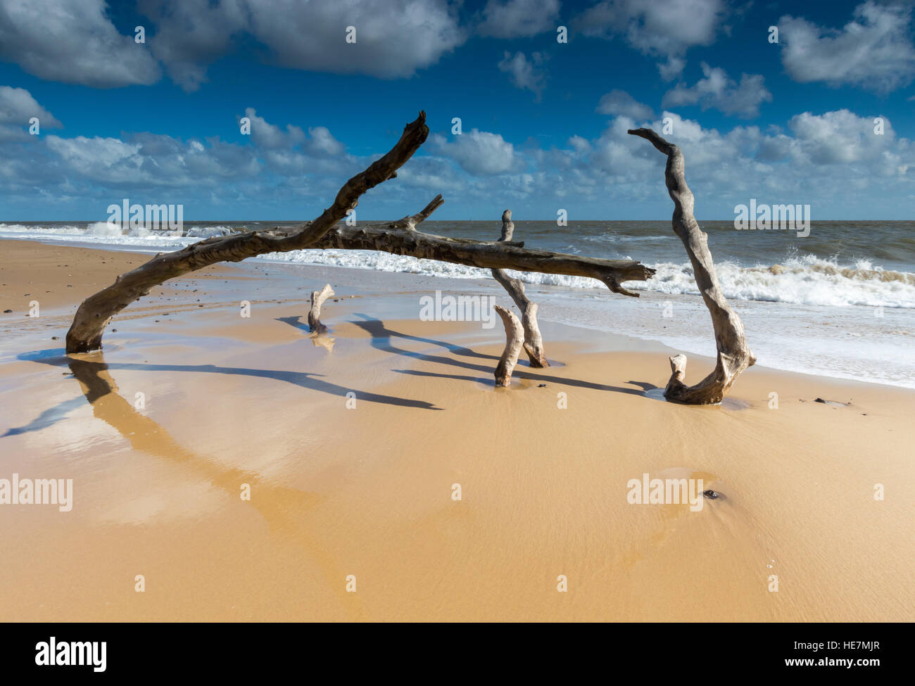 Sand sinking hi-res stock photography and images - Alamy