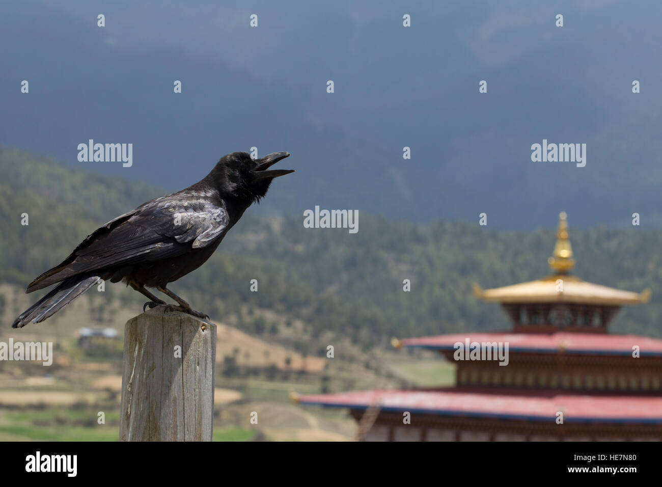 Ura bhutan hi-res stock photography and images - Alamy