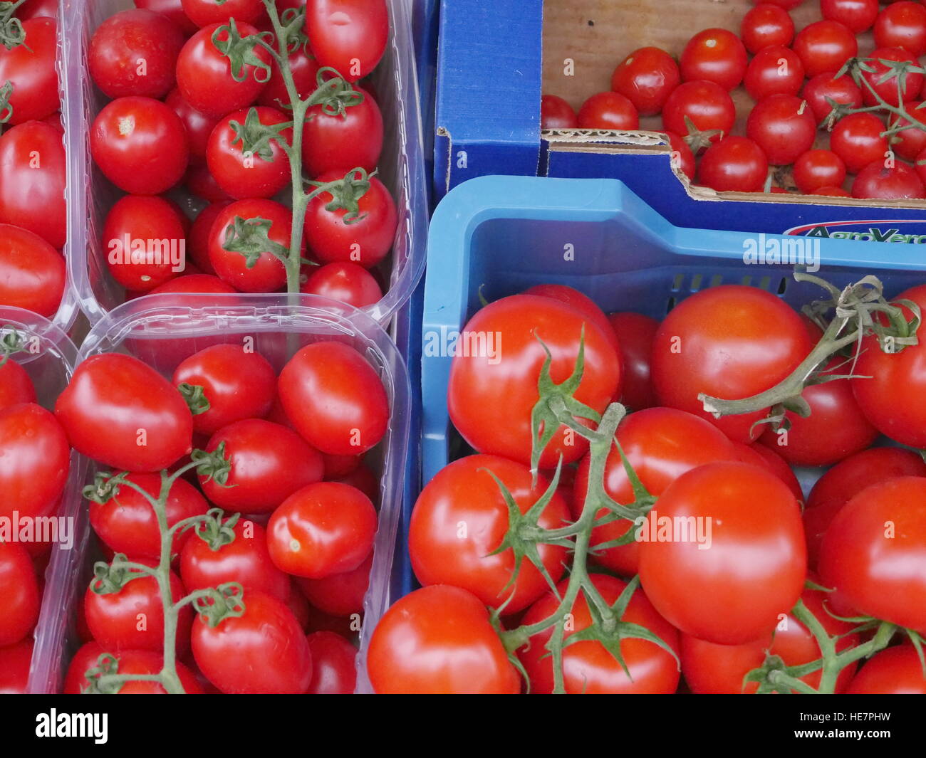 Fresh ripe tomatoes Stock Photo - Alamy