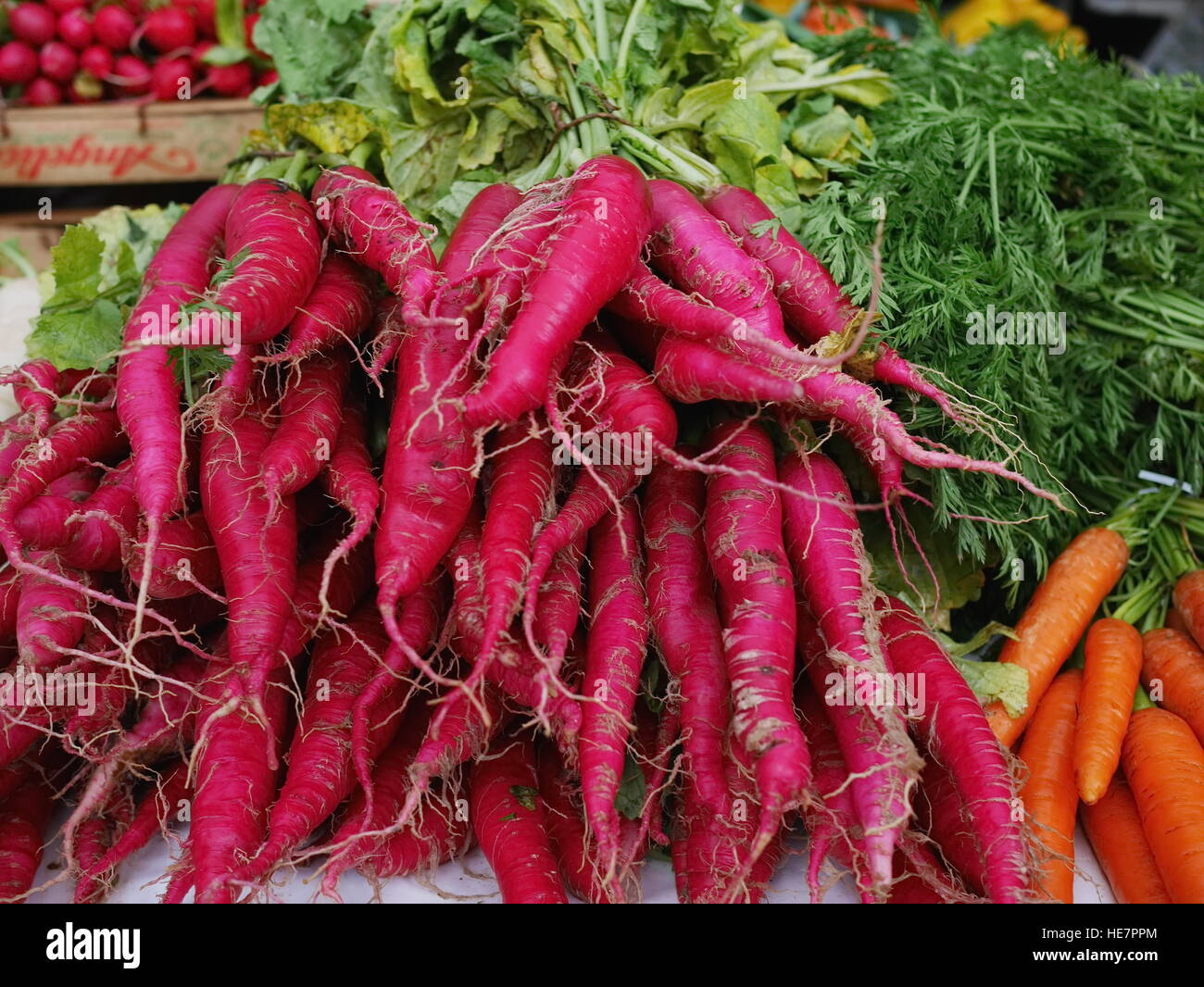 Radish farm hi-res stock photography and images - Alamy