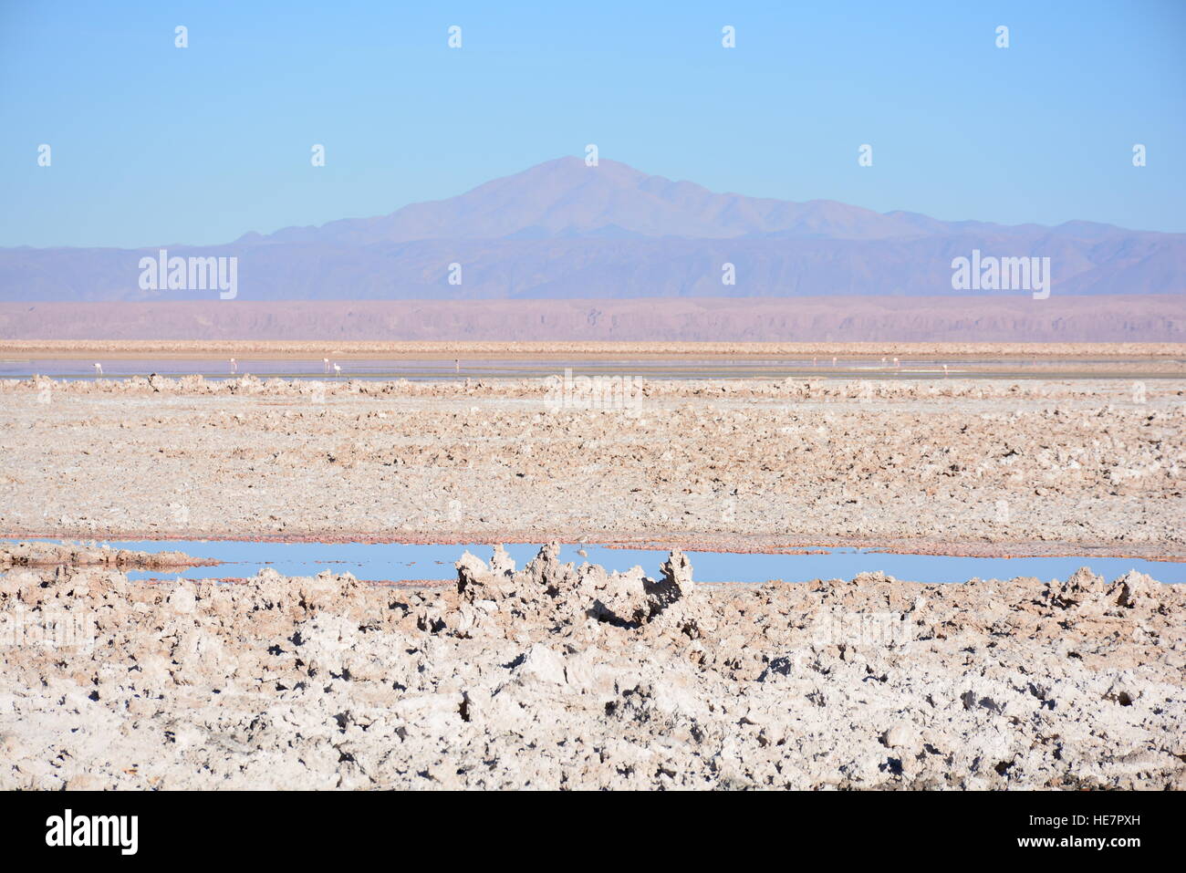 Landscape of Salt flats valley in Atacama desert in Chile Stock Photo ...