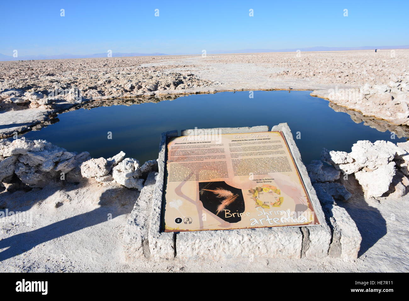 Landscape of Salt flats valley in Atacama desert in Chile Stock Photo ...