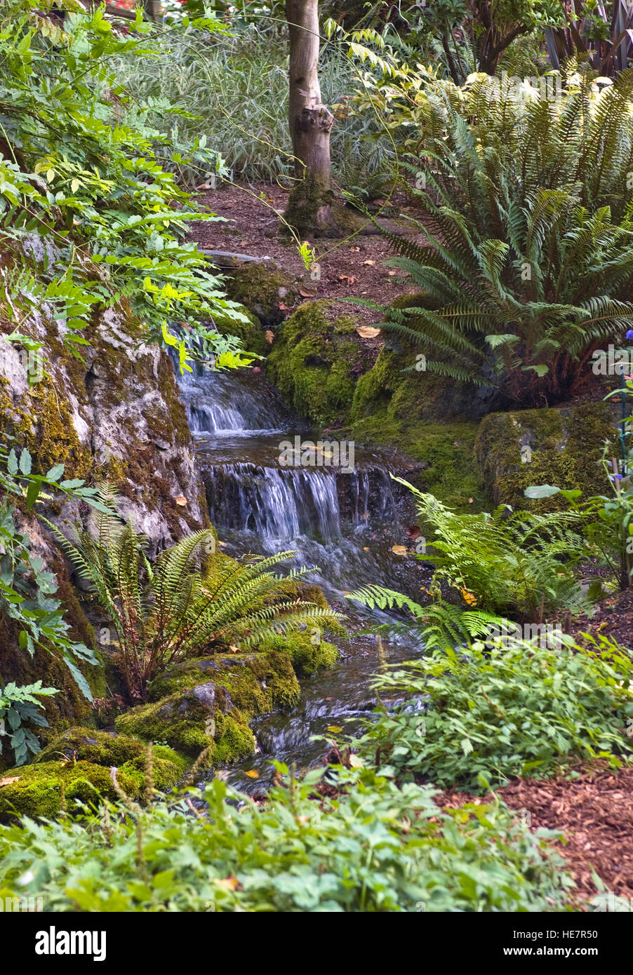 Stream water feature hi-res stock photography and images - Alamy