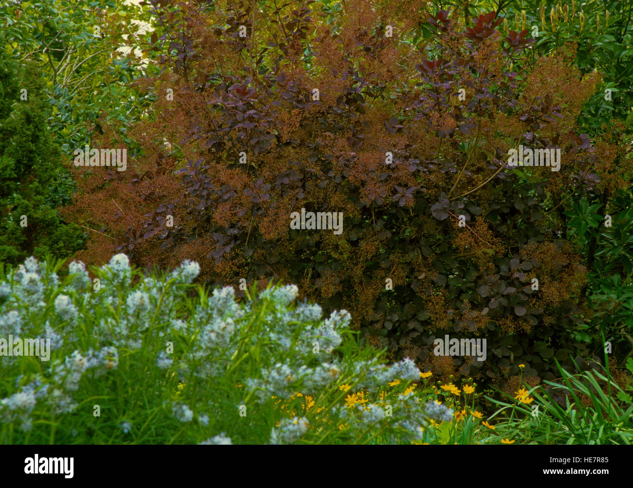 Plume of white smoke hi-res stock photography and images - Alamy