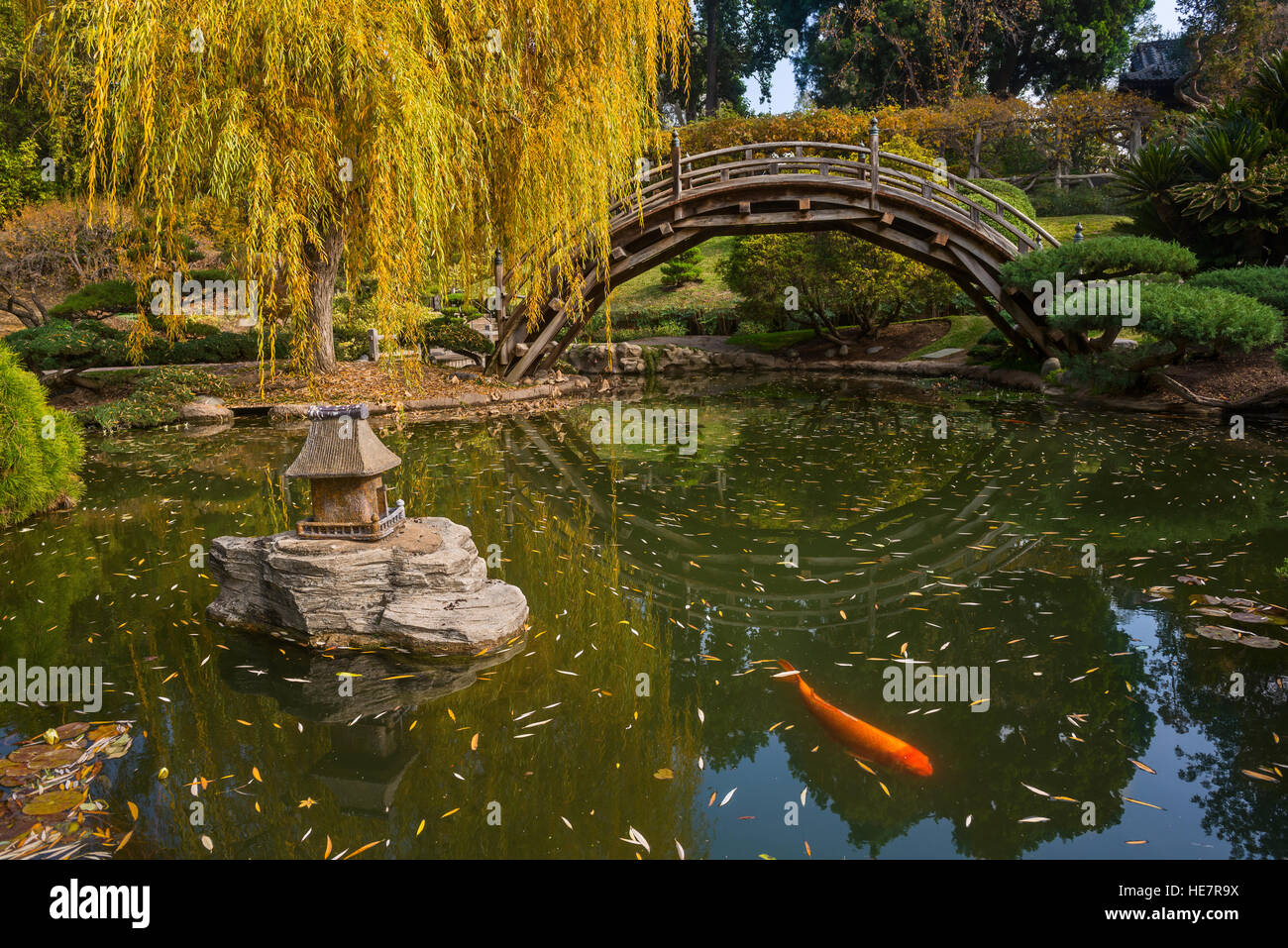 Huntington library japanese moon bridge hi-res stock photography and ...