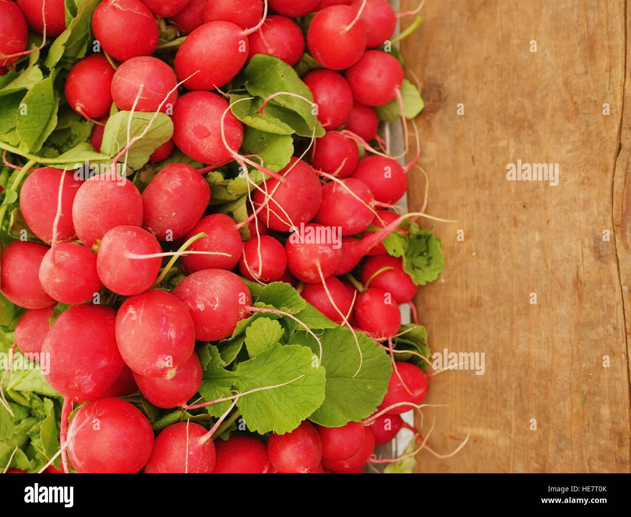 Radish farm hi-res stock photography and images - Alamy
