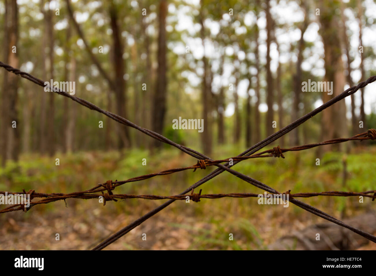 Rusting Old Fence High Resolution Stock Photography and Images - Alamy