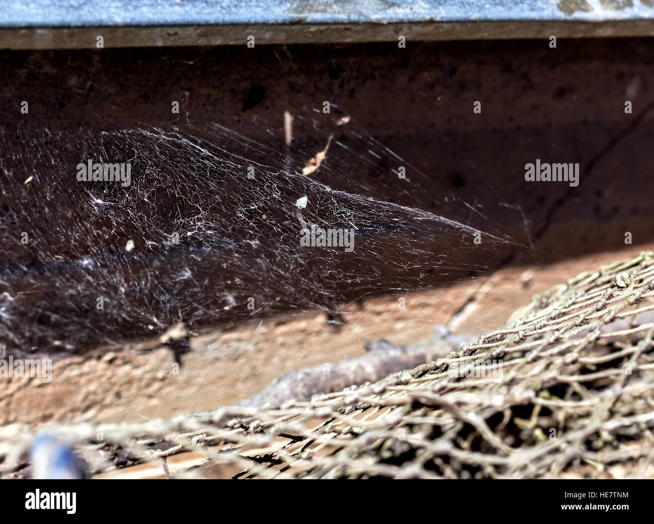 Network texture hi-res stock photography and images - Alamy