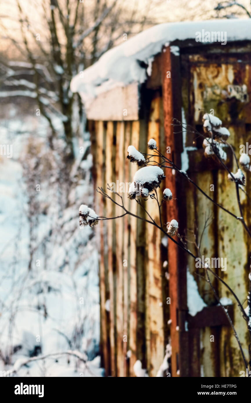 Old barn in snow winter hi-res stock photography and images - Alamy