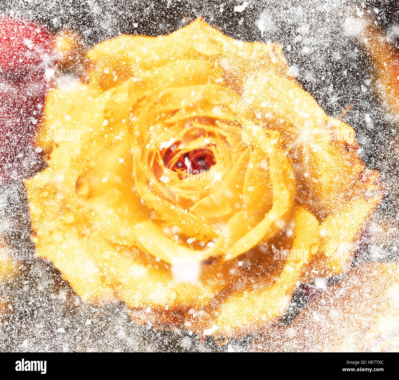 White rose falls hi-res stock photography and images - Alamy