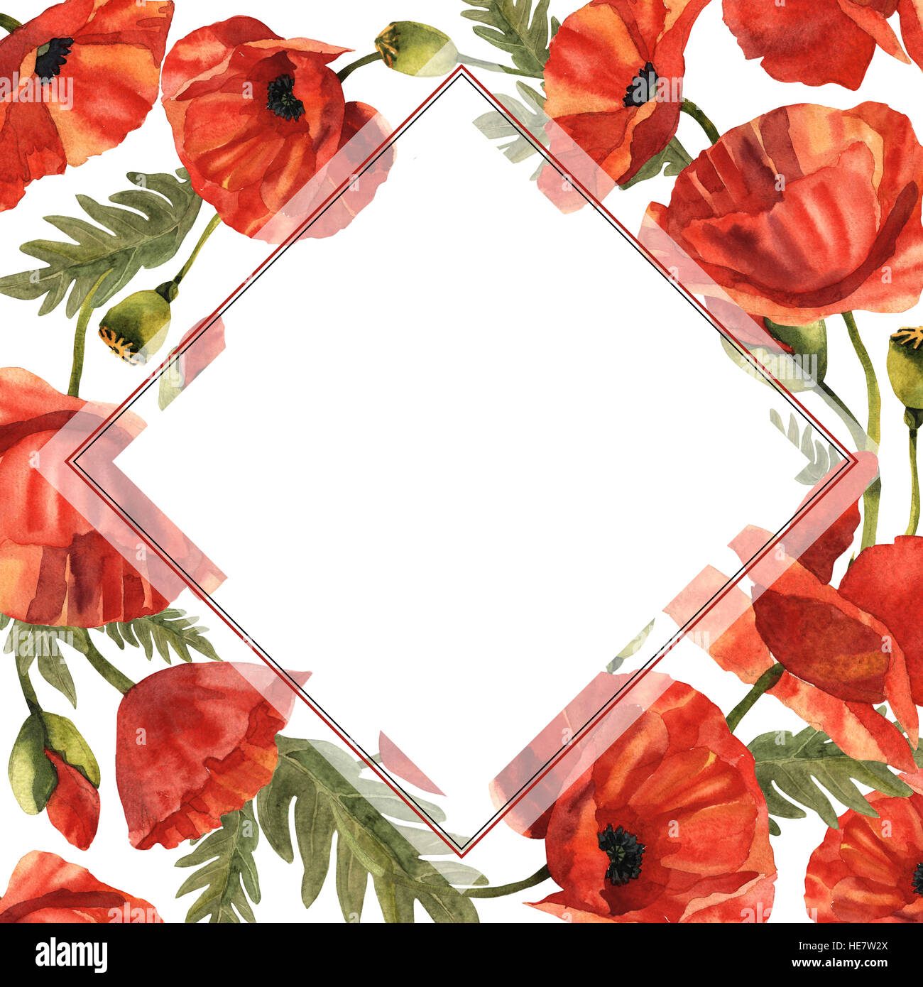 Wildflower poppy flower frame in a watercolor style isolated Stock ...