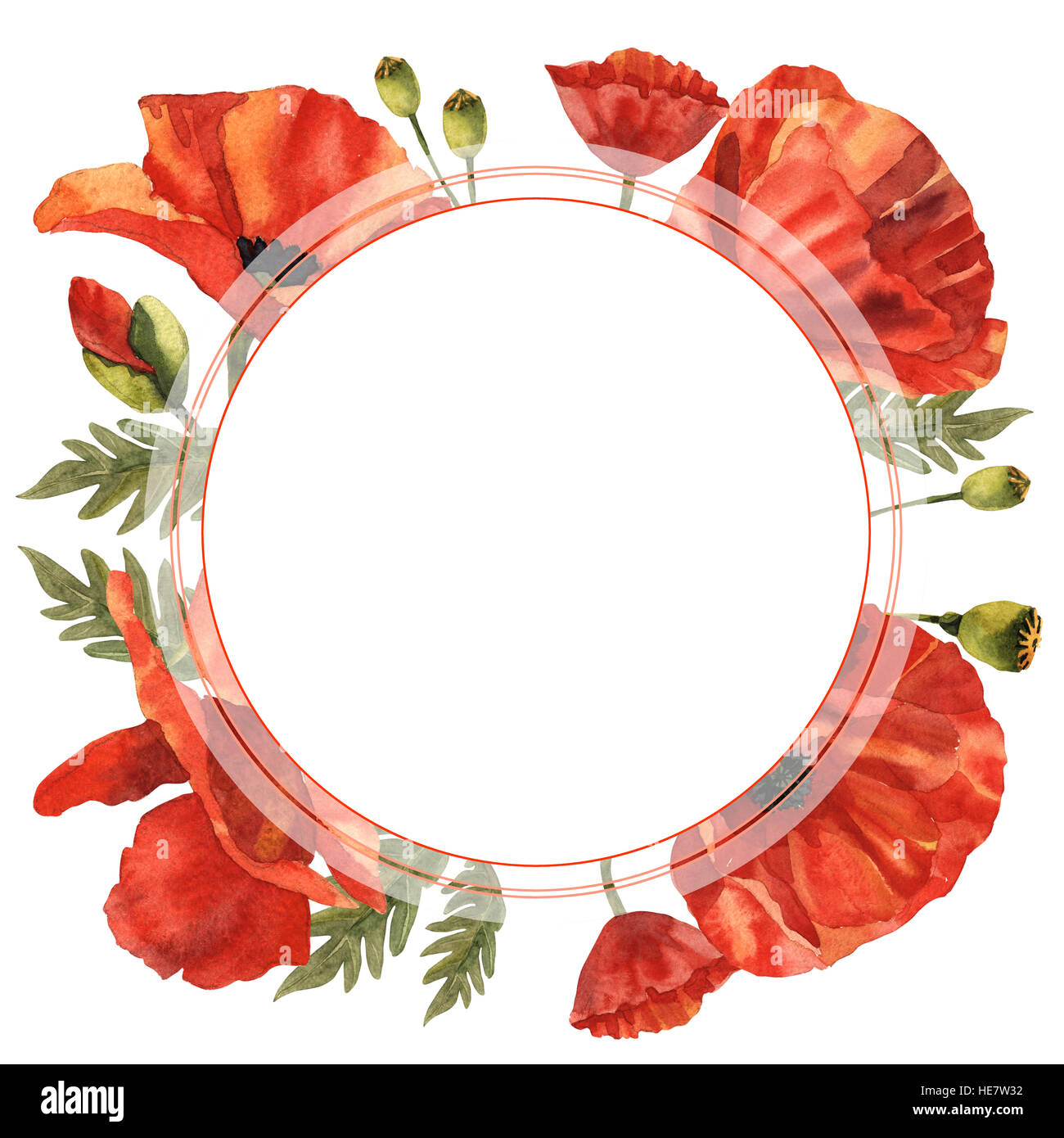 Wildflower poppy flower frame in a watercolor style isolated Stock ...