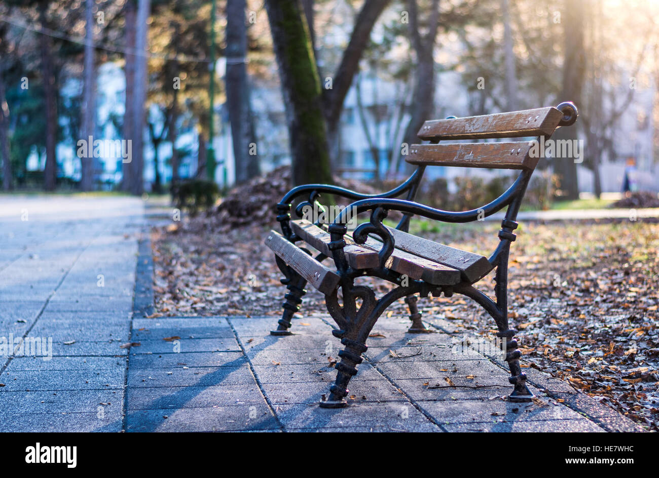 A bench in the park in the autumn with leaves and soft focus Stock ...
