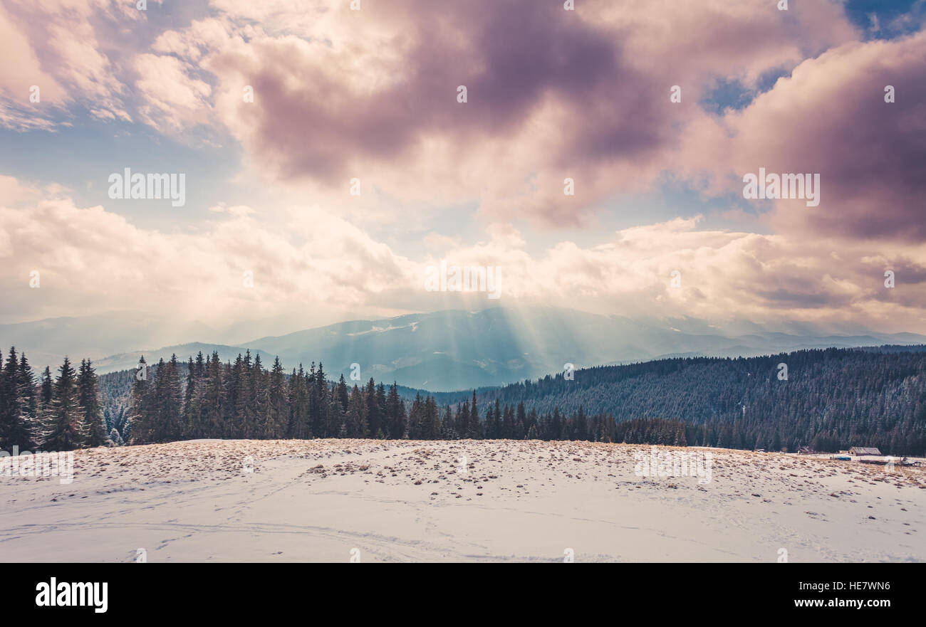 Amazing evening winter landscape Stock Photo - Alamy