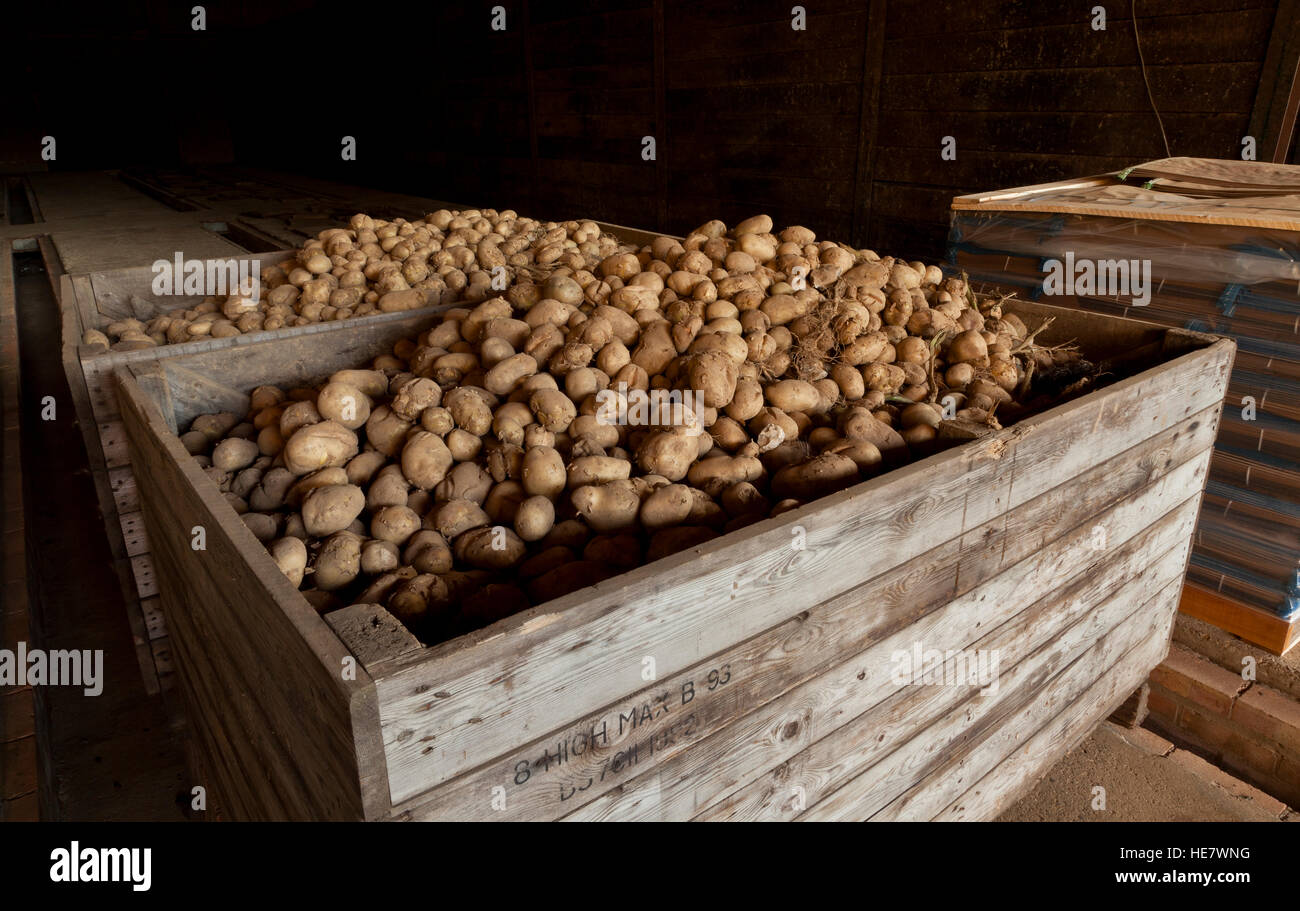 Agricultural waste hi-res stock photography and images - Alamy
