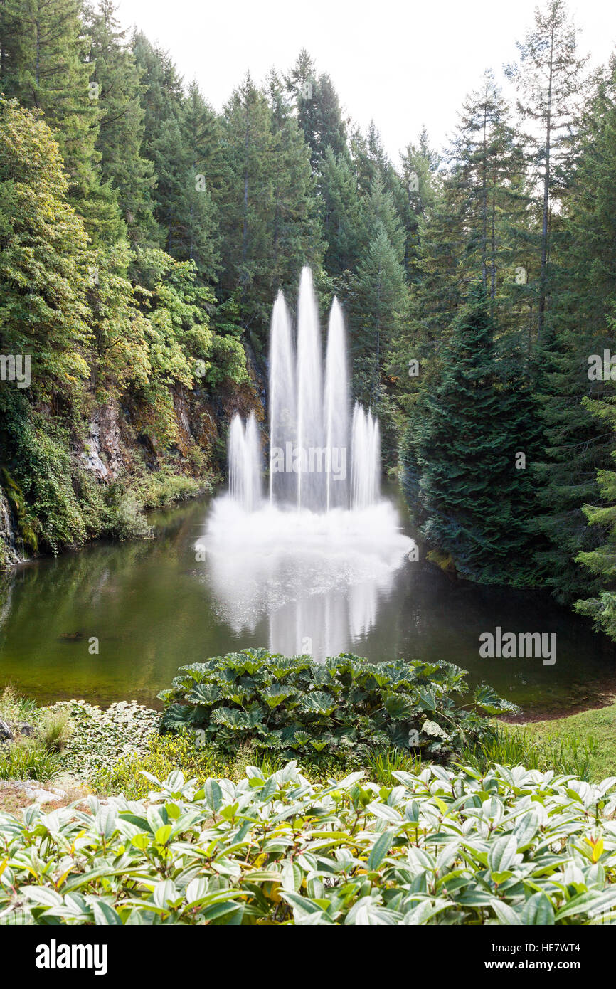 The Ross Fountain in the Sunken Garden at Butchart Gardens near ...