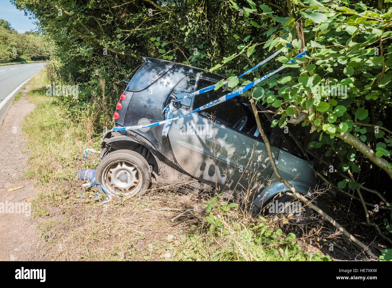 Smart Car Crash With Squirrel