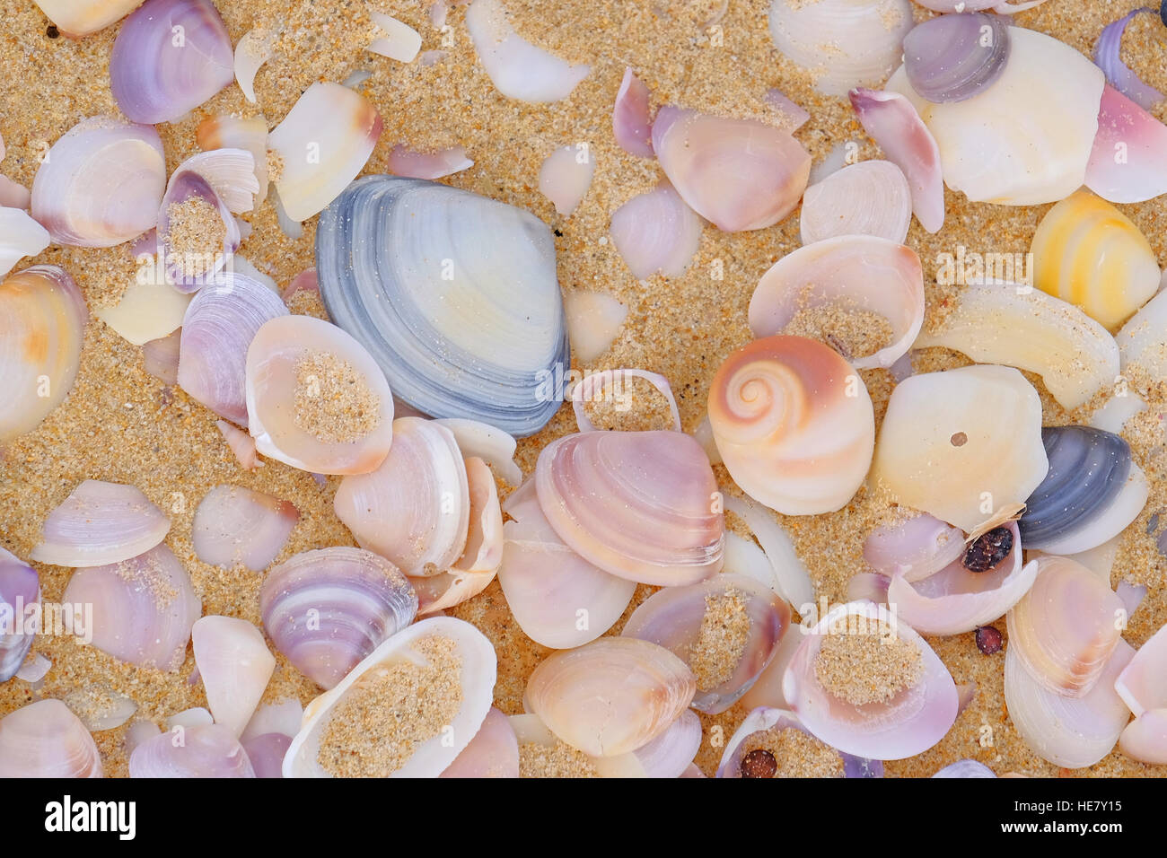 Australian sea shore hi-res stock photography and images - Alamy