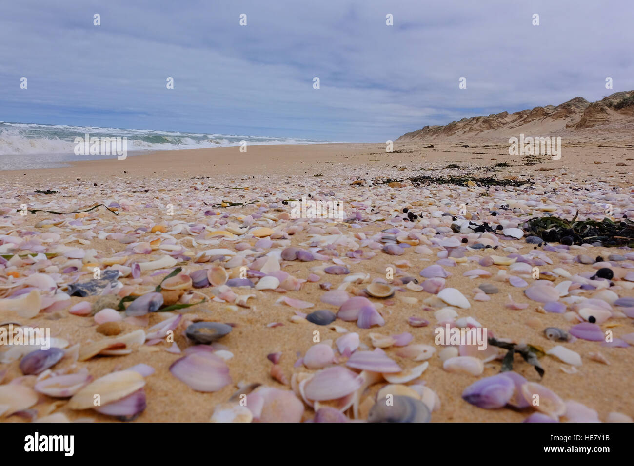 Canunda national park hi-res stock photography and images - Alamy