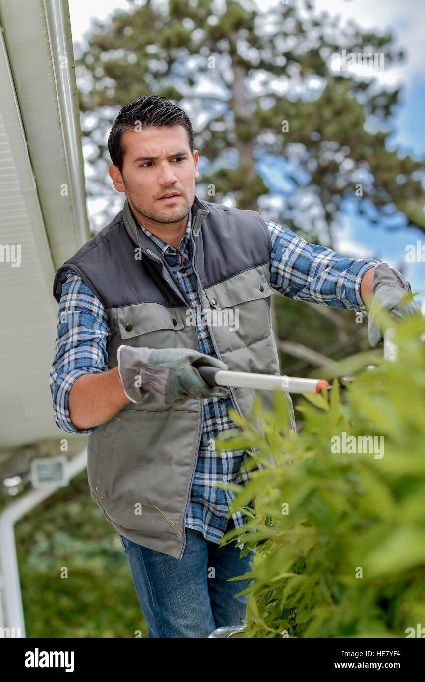 Long Secateurs High Resolution Stock Photography and Images - Alamy