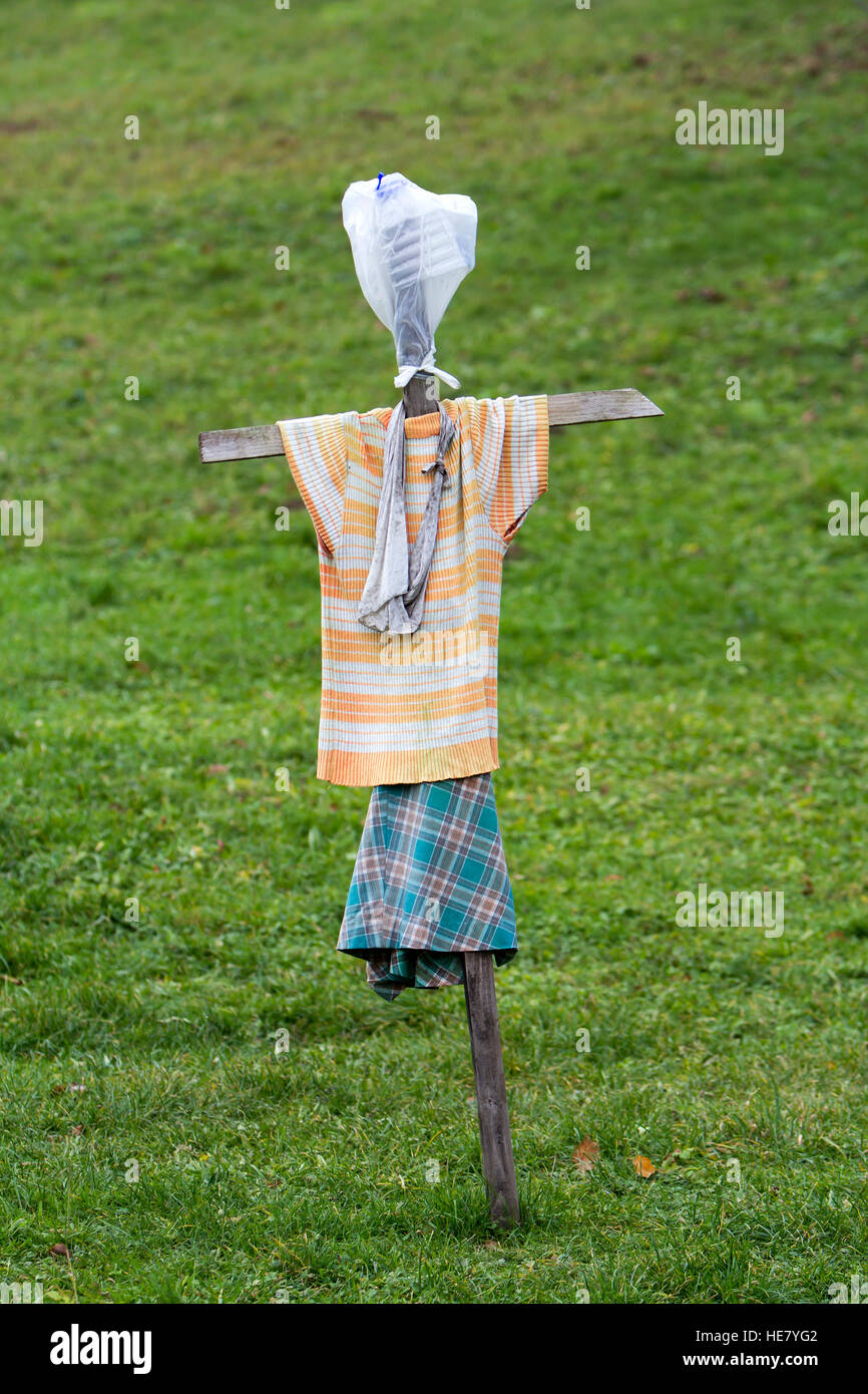Scarecrow made of old clothes in a field Stock Photo - Alamy