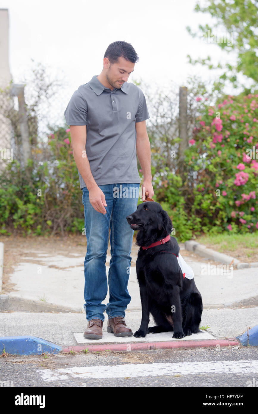 man walking dog Stock Photo - Alamy