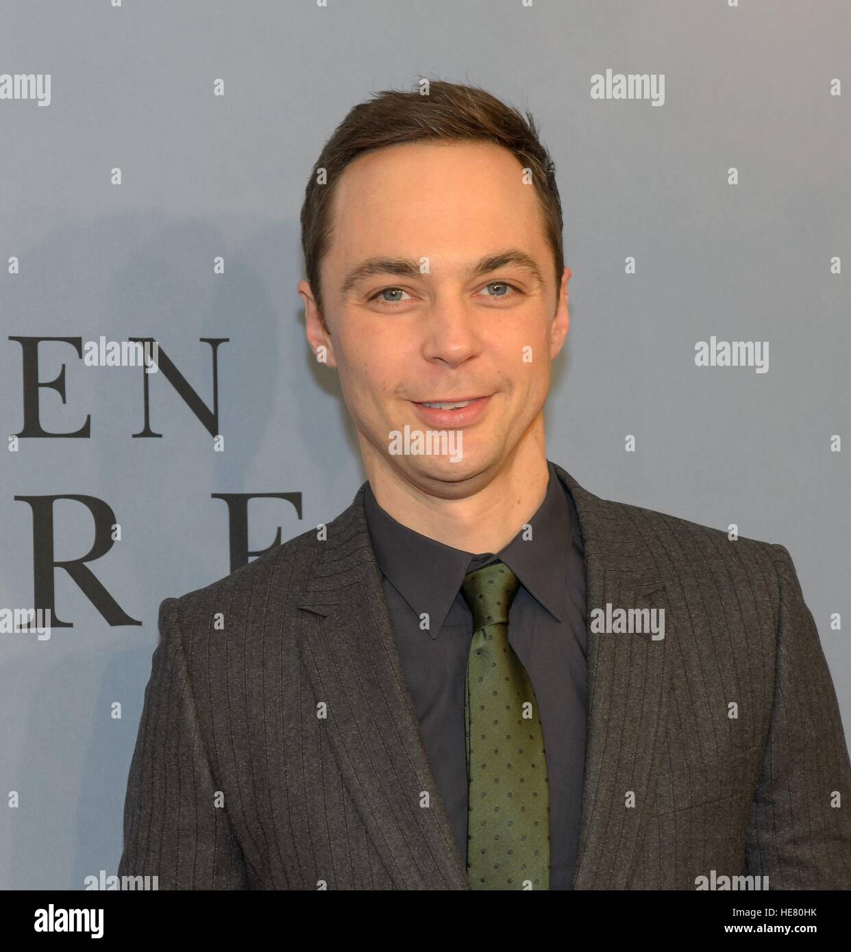 Actor Jim Parsons walks the red carpet during the global celebration ...