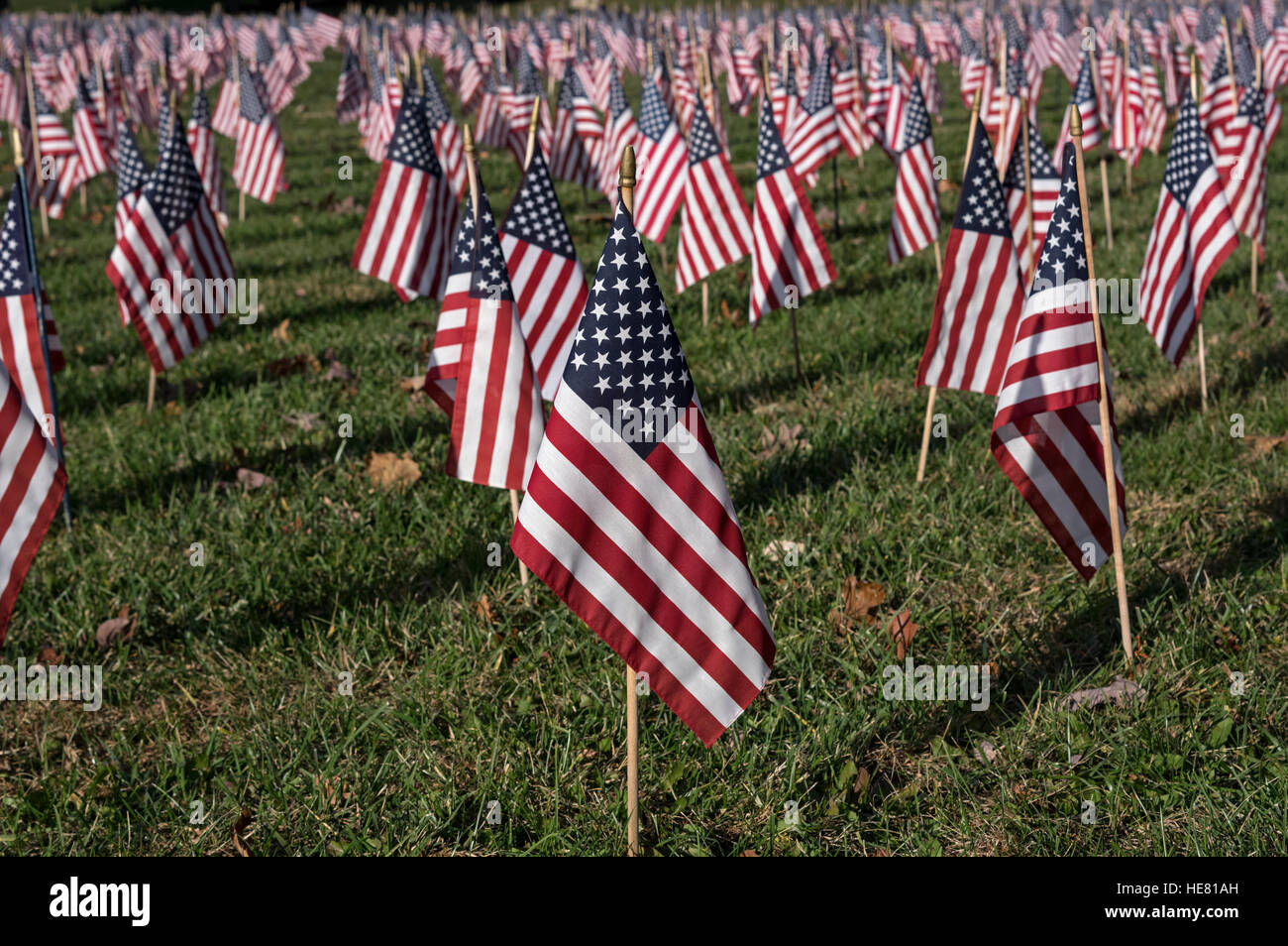 Honoring nation hi-res stock photography and images - Alamy