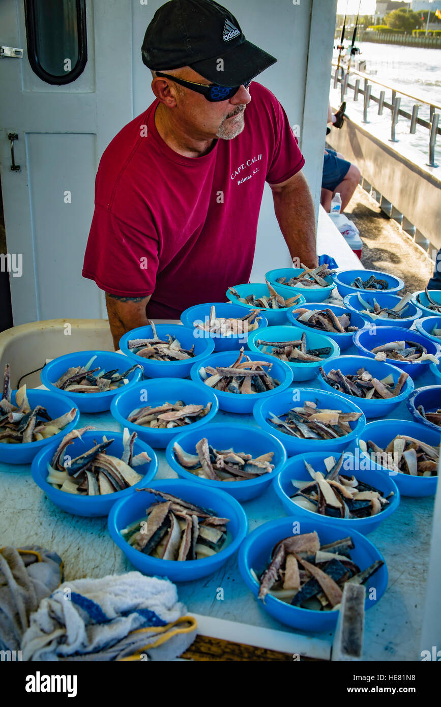 Barber fish hi-res stock photography and images - Alamy