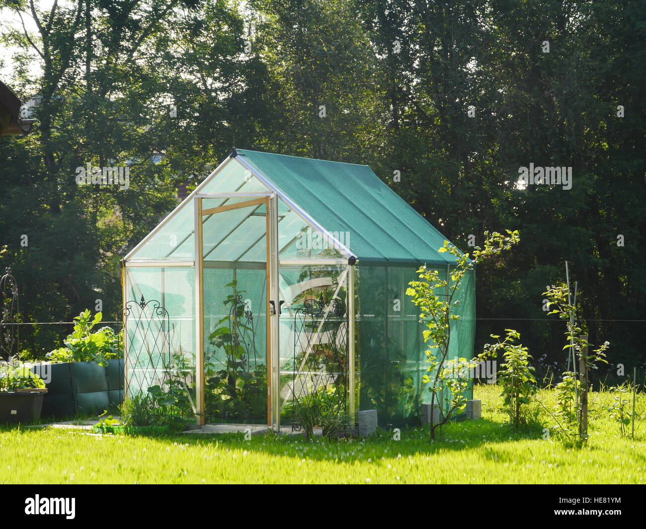 Greenhouse trees hi-res stock photography and images - Alamy