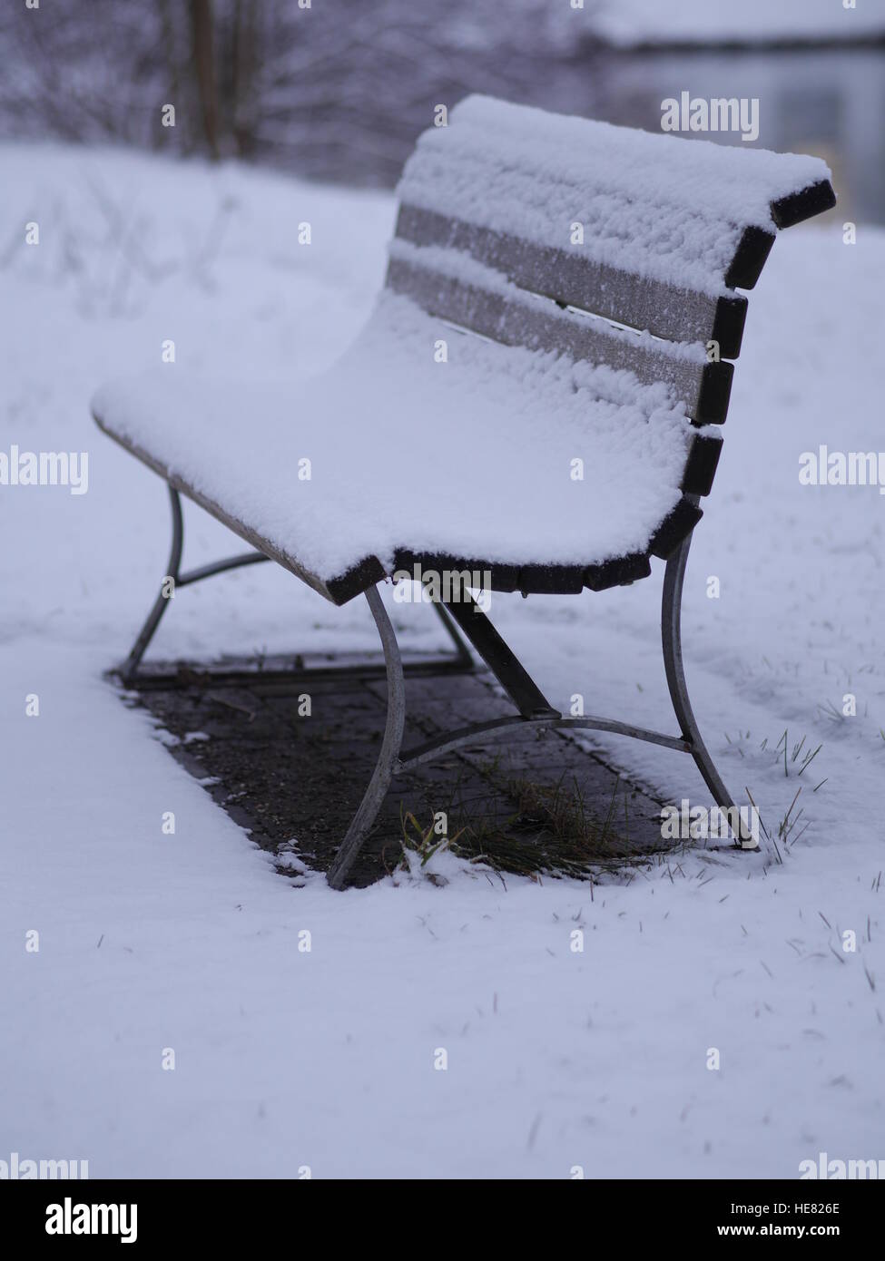 Snowy pathway view hi-res stock photography and images - Alamy