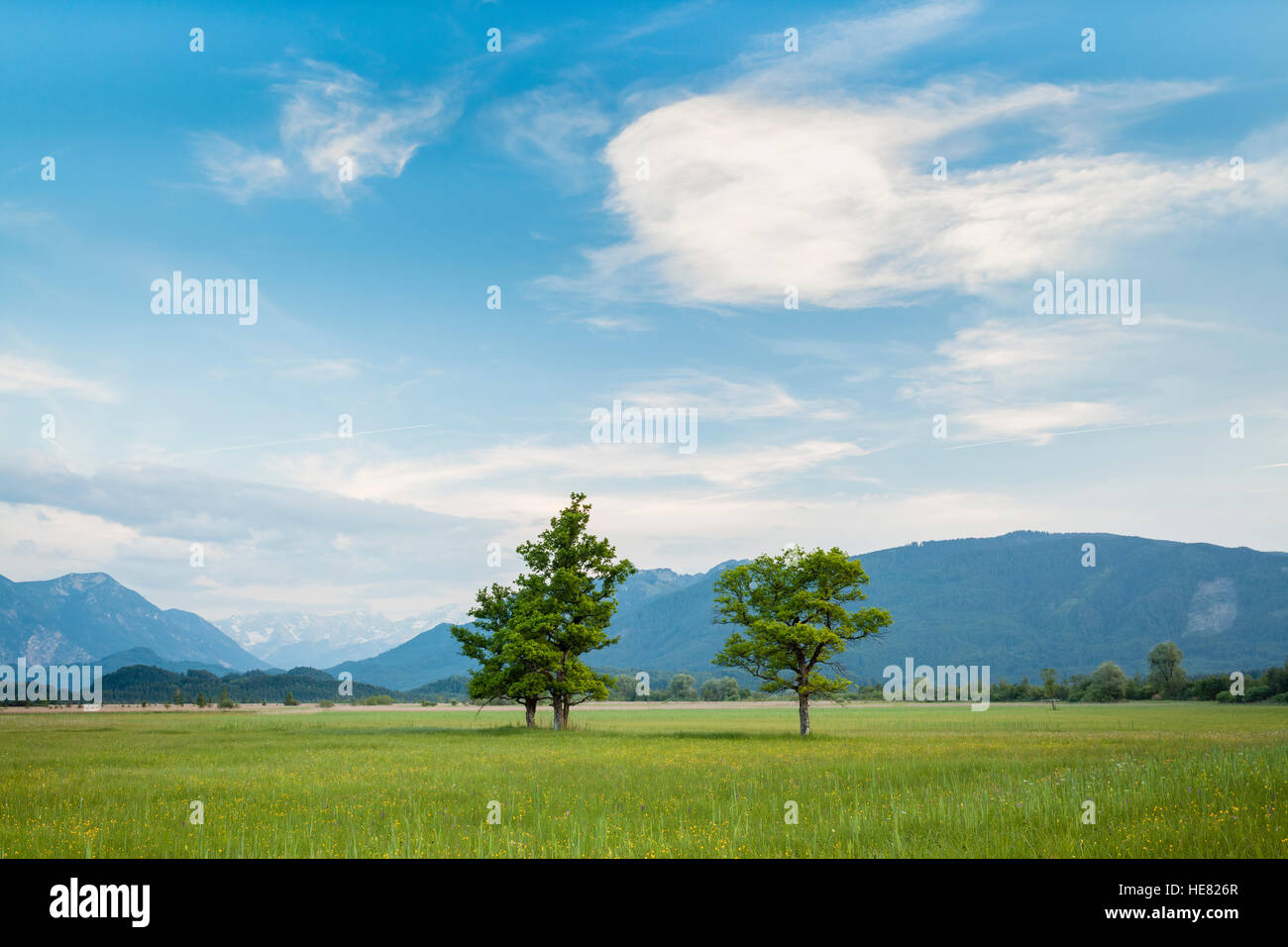View of Murnauer Moos marshland. Murnau am Staffelsee. Upper Bavaria ...