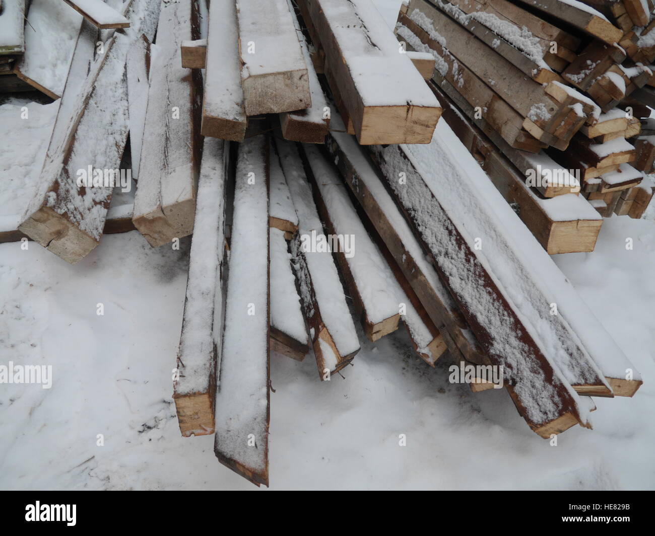 Stapled to tree hi-res stock photography and images - Alamy