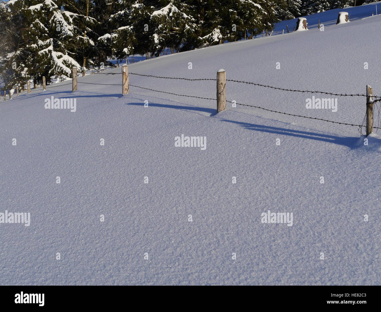 The winter scene of a wooden rail fence line during a snow storm with ...