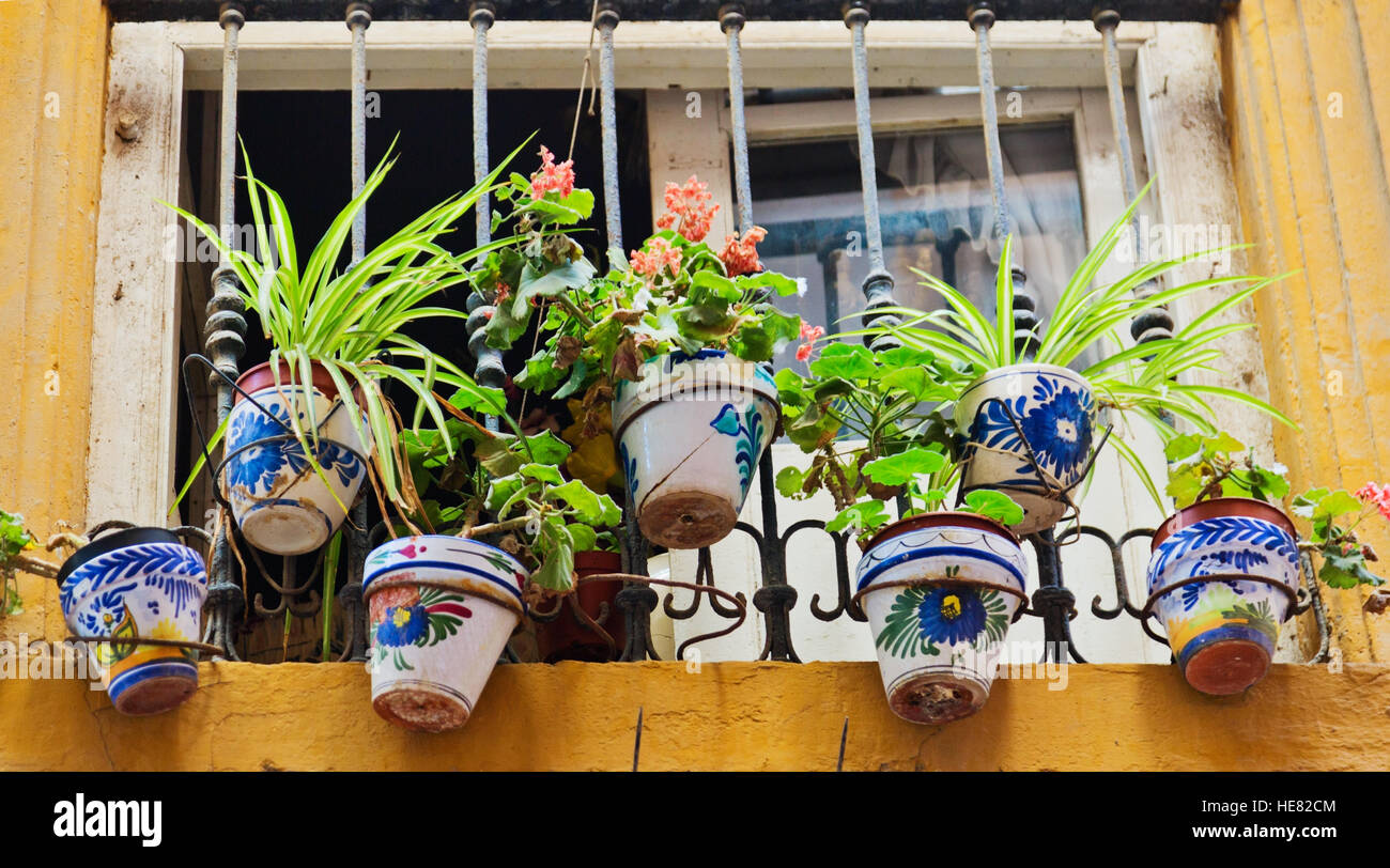 window decorated with pots flowers. Malaga. Spain Stock Photo - Alamy