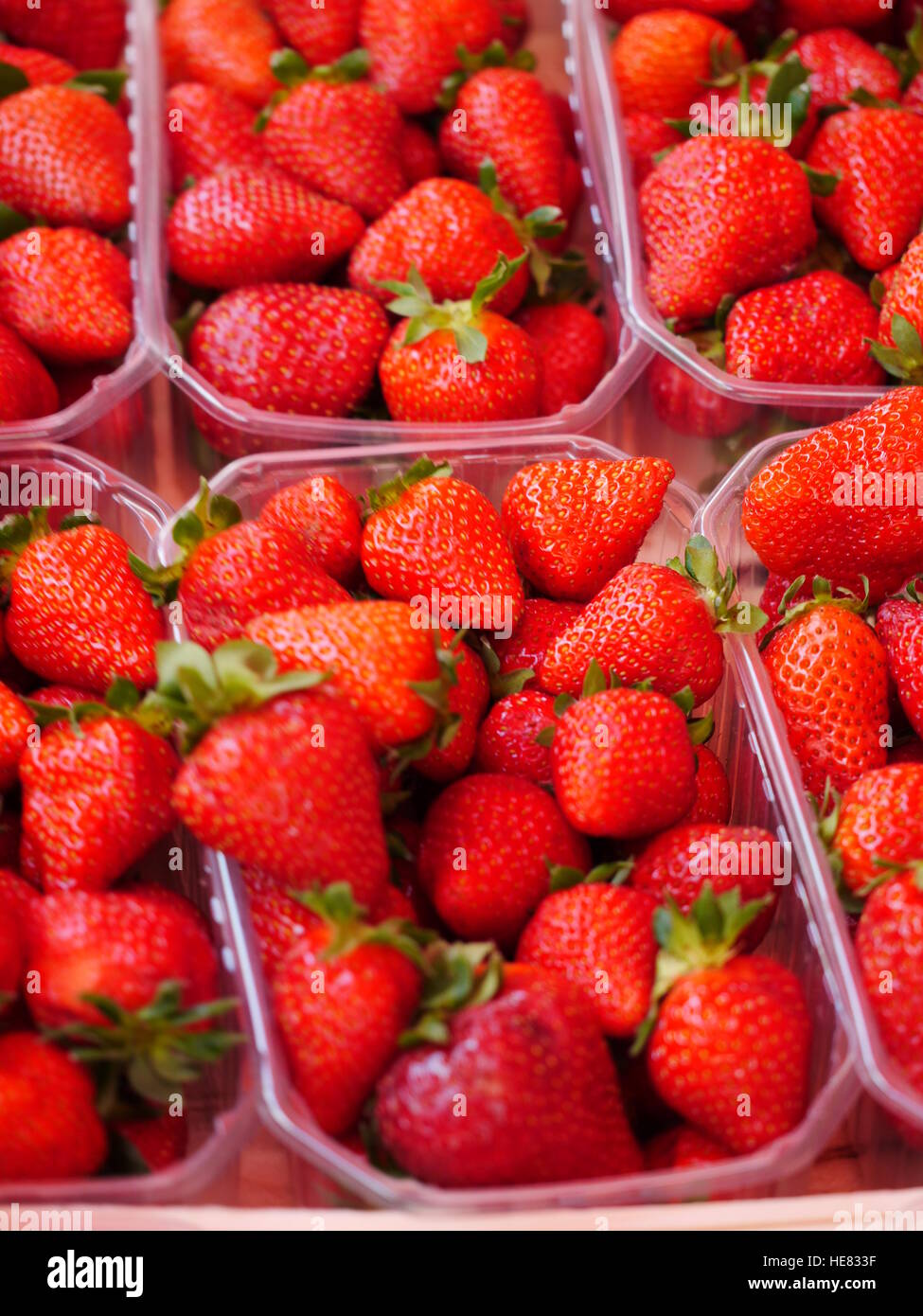 strawberries in plastic bucket Stock Photo - Alamy