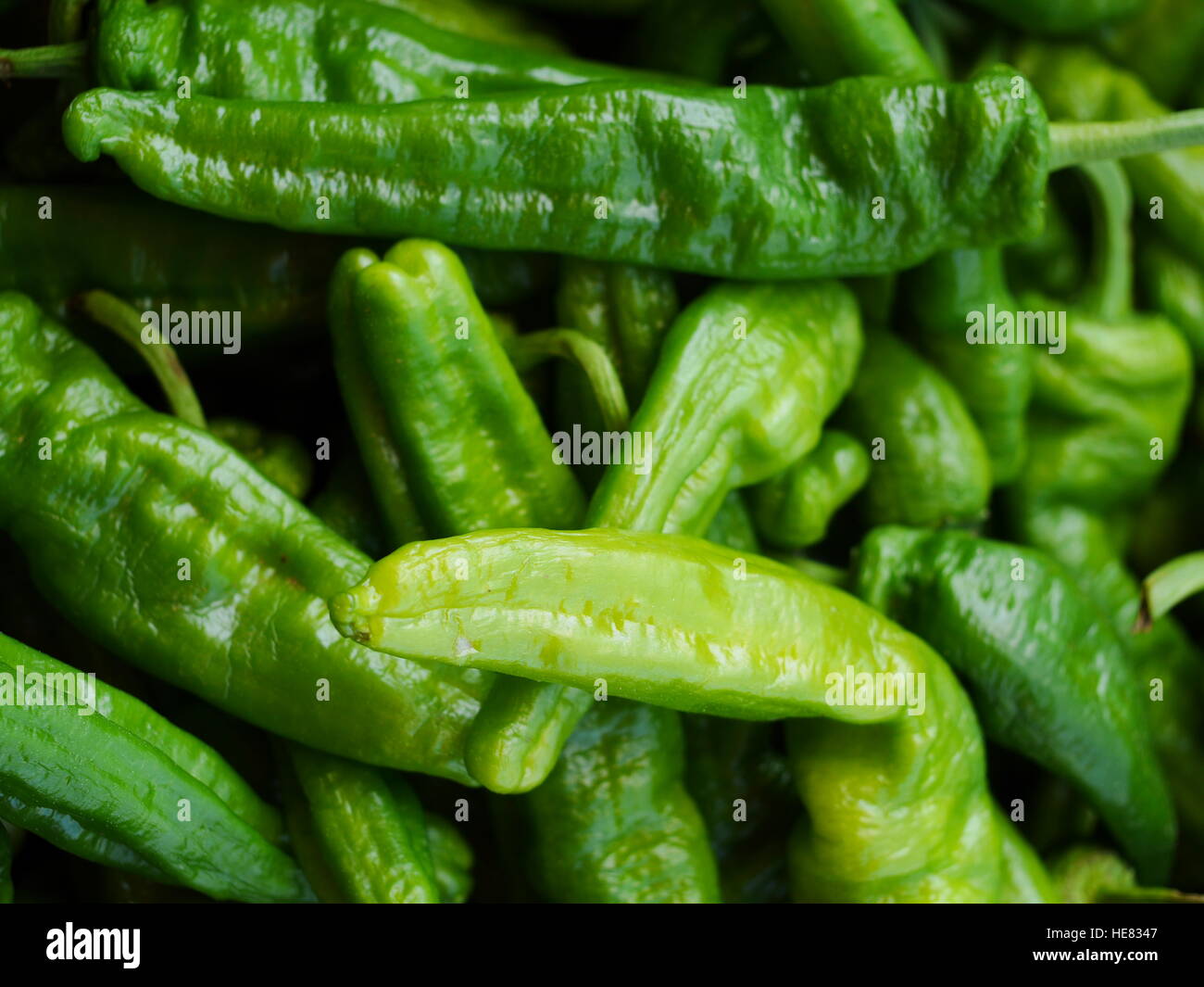 beans in a bucket Stock Photo - Alamy