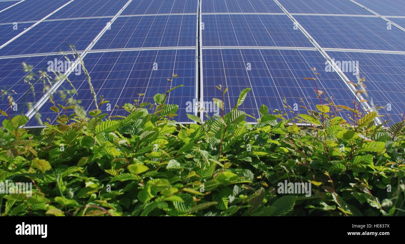 Solar panels landscape hi-res stock photography and images - Alamy