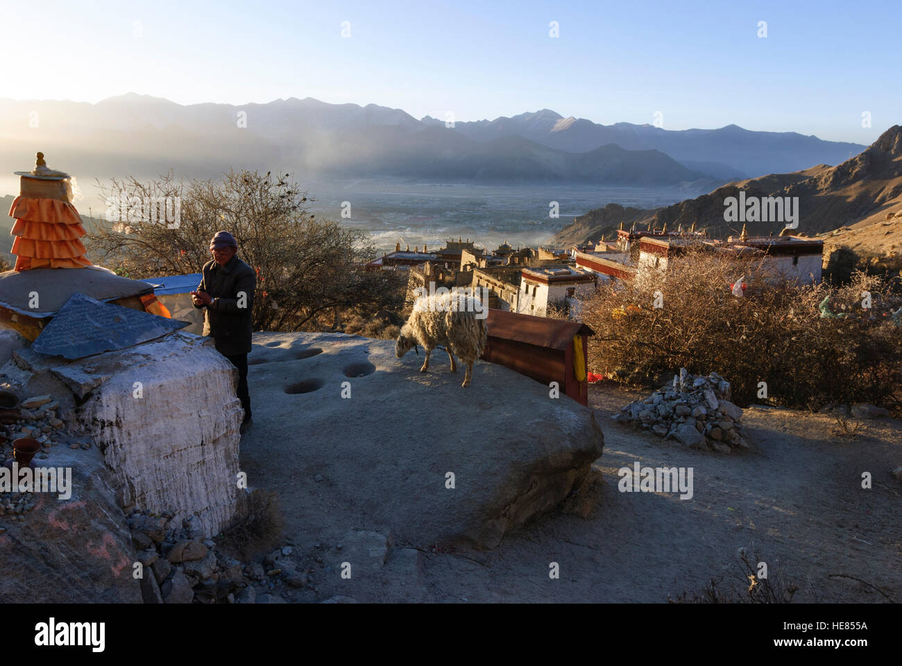 Lhasa: Monastery Drepung; Pilgrimage and sheep at Kora (circular path ...