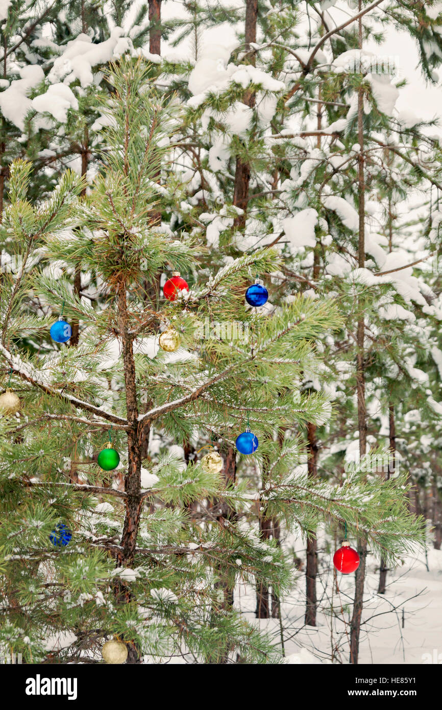 Decorated Christmas Tree In A Snowy Pine Forest Stock Photo Alamy