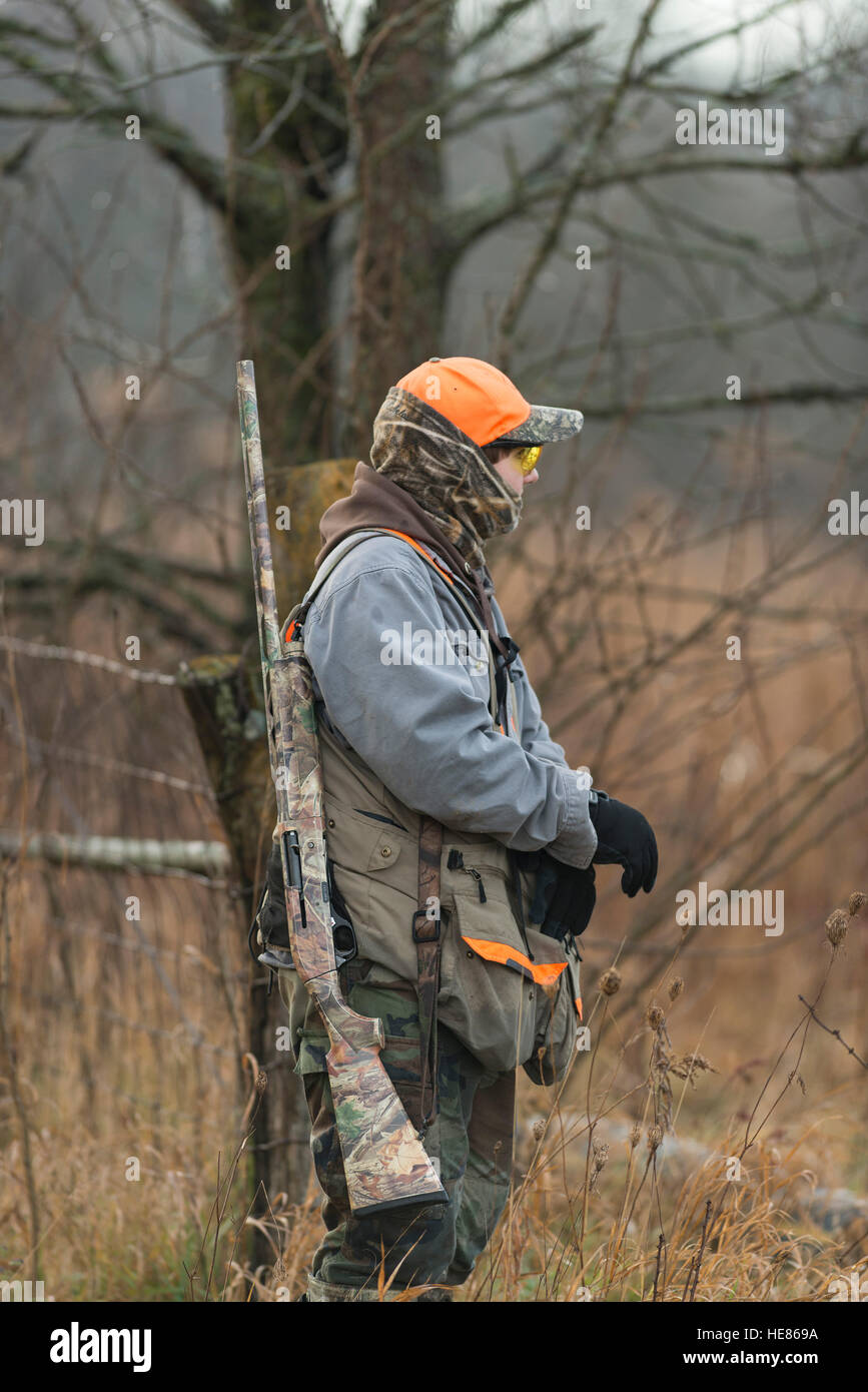 A young Pheasant hunter Stock Photo - Alamy