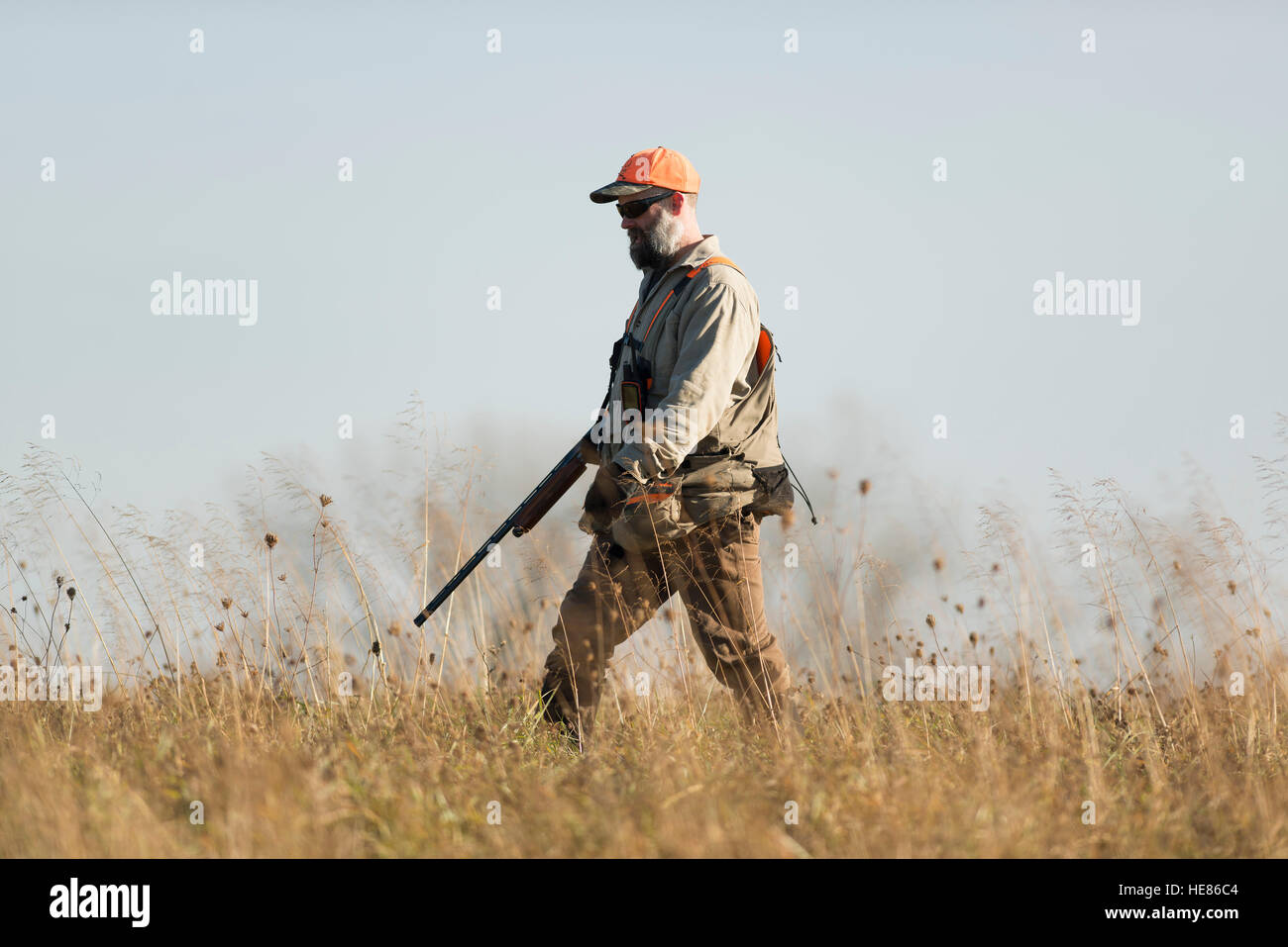 A bird hunter on a nice autumn day Stock Photo - Alamy