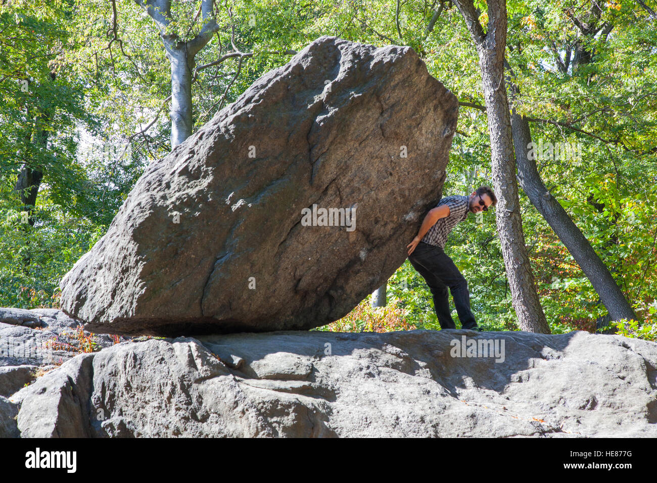 Tourist with a large boulder, Central Park, New York City, United ...
