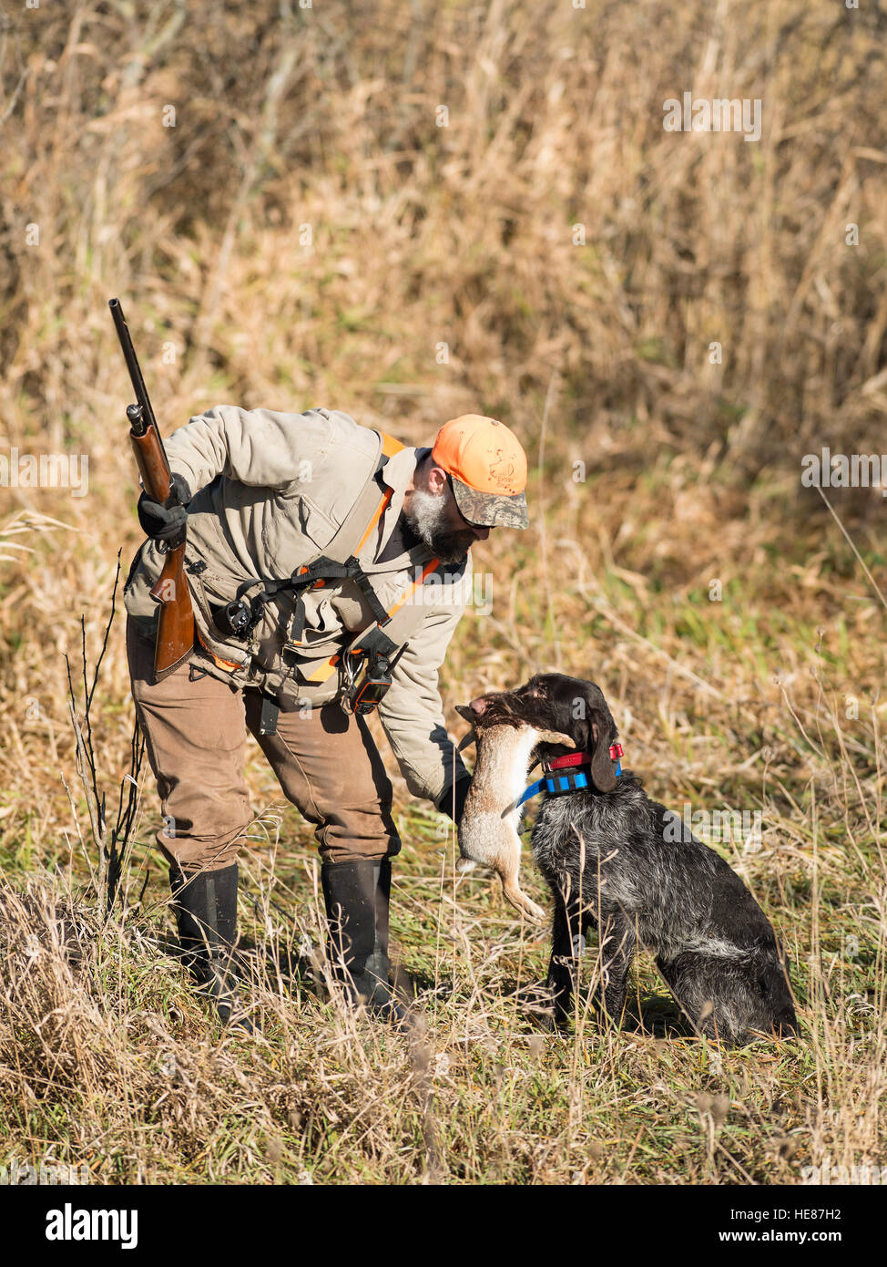 A rabbit hunter with his dog Stock Photo - Alamy