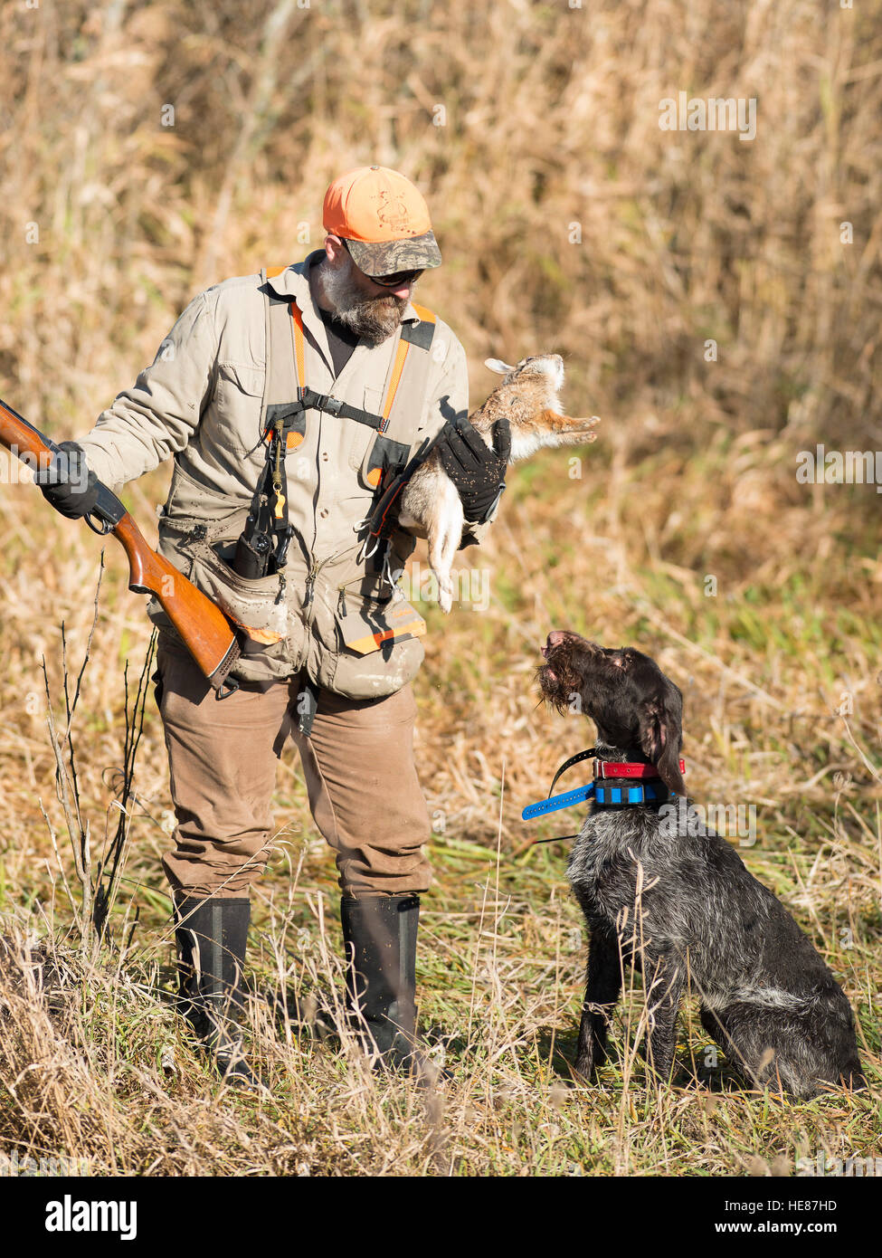Rabbit hunter hi-res stock photography and images - Alamy