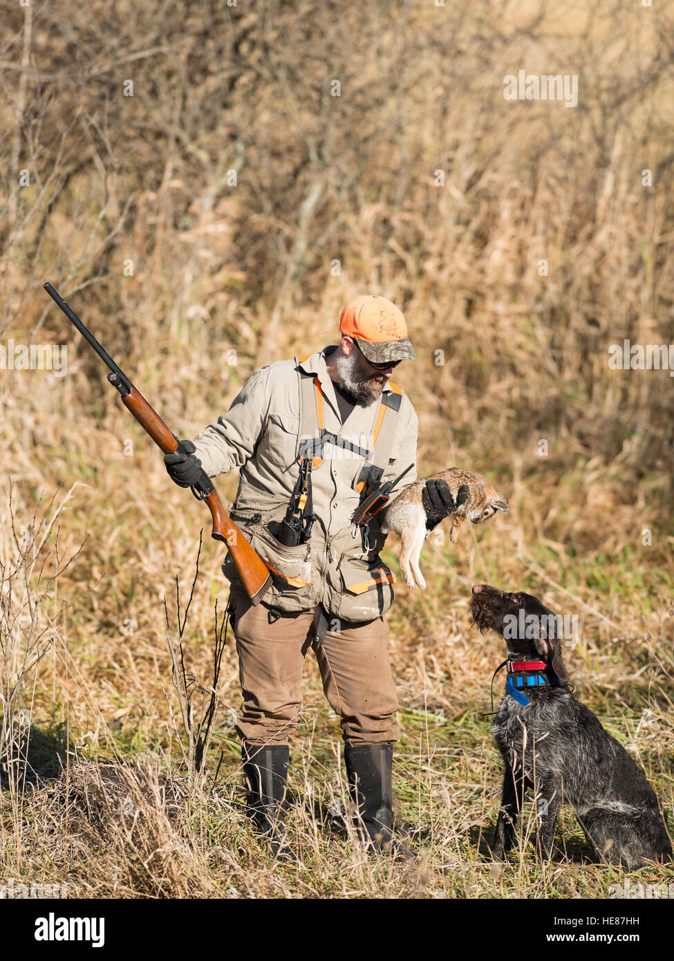 A rabbit hunter with his dog Stock Photo - Alamy