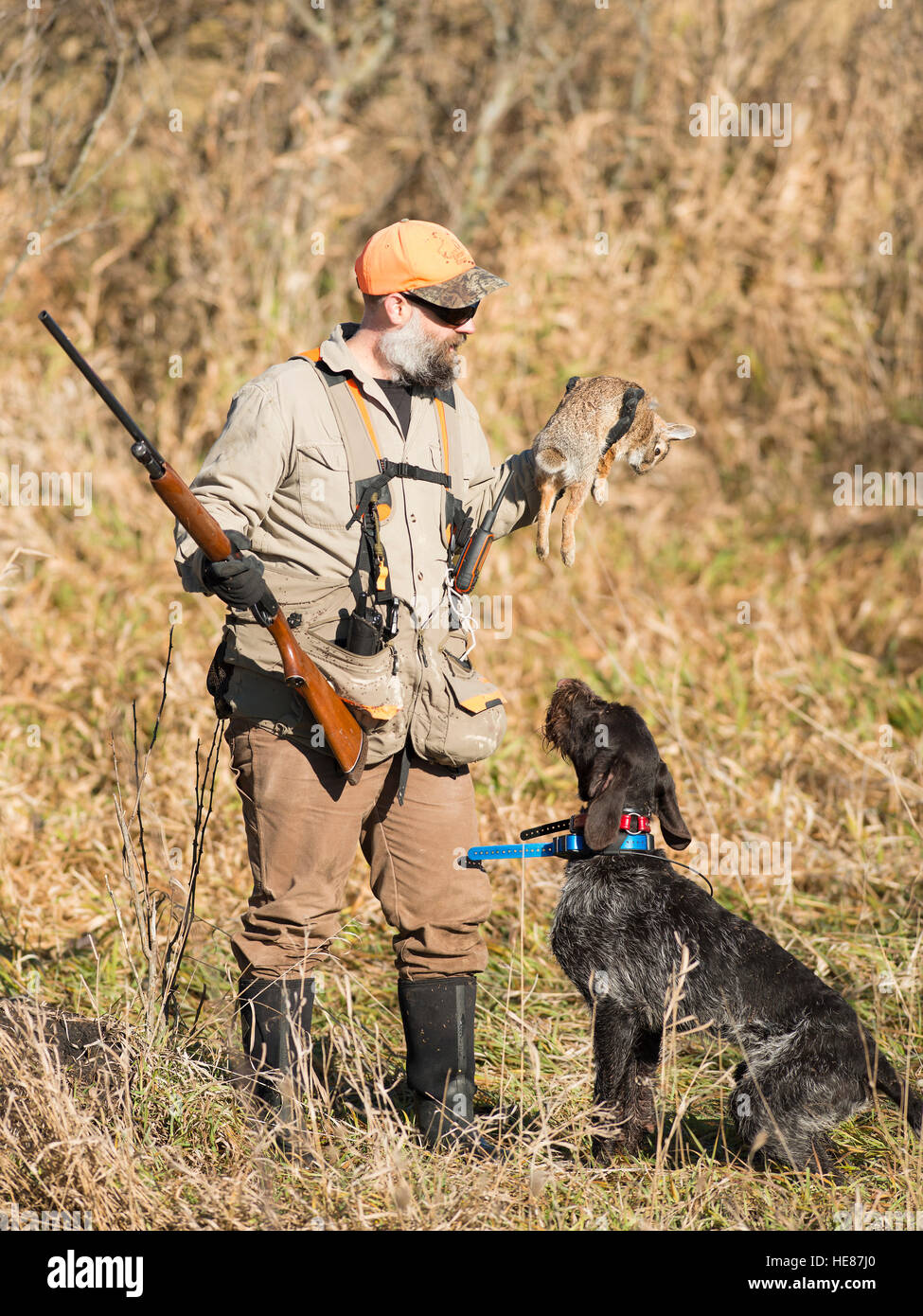 A rabbit hunter with his dog Stock Photo - Alamy