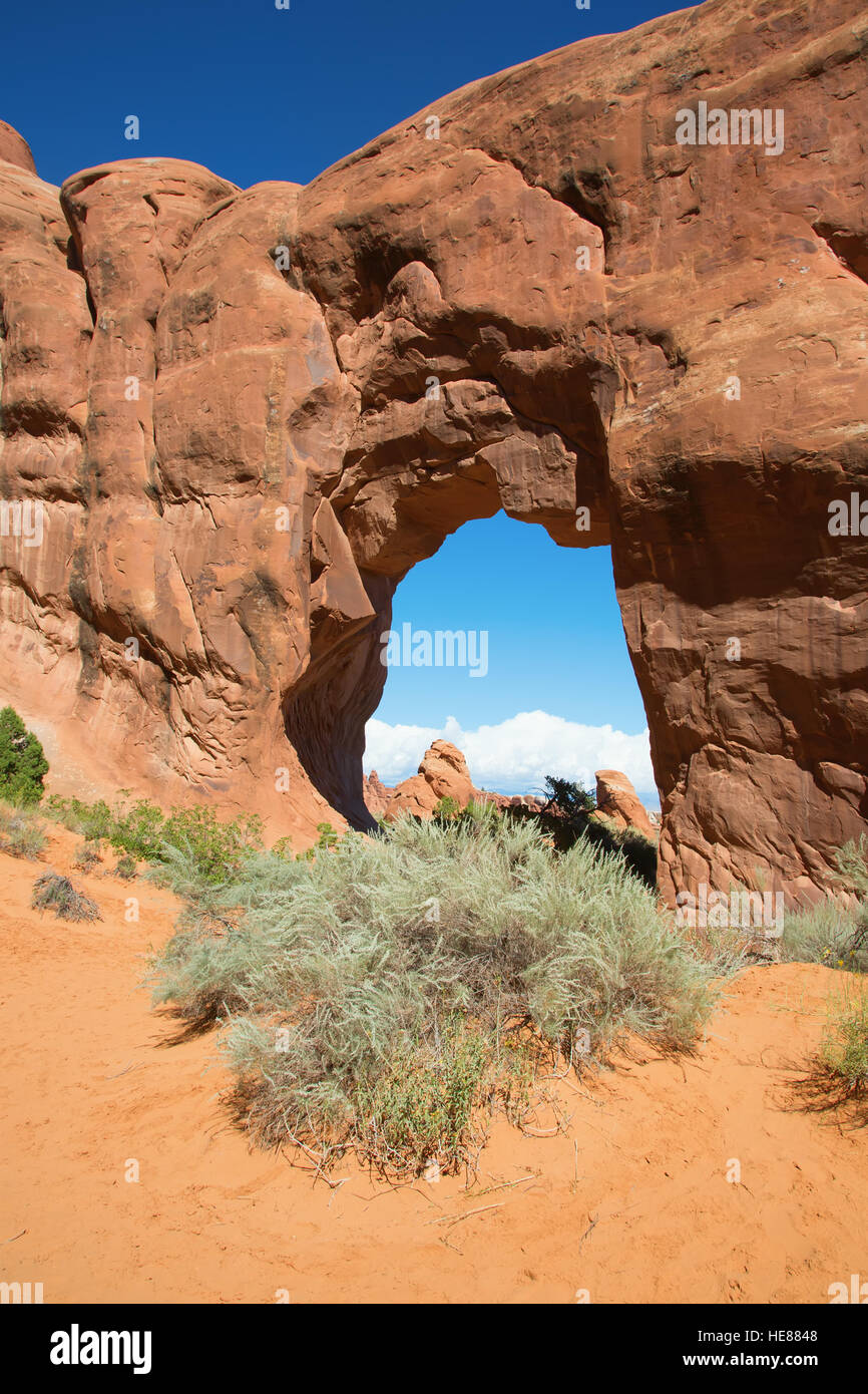 Famous Pine tree arch in the Arches National park, Utah, USA Stock ...