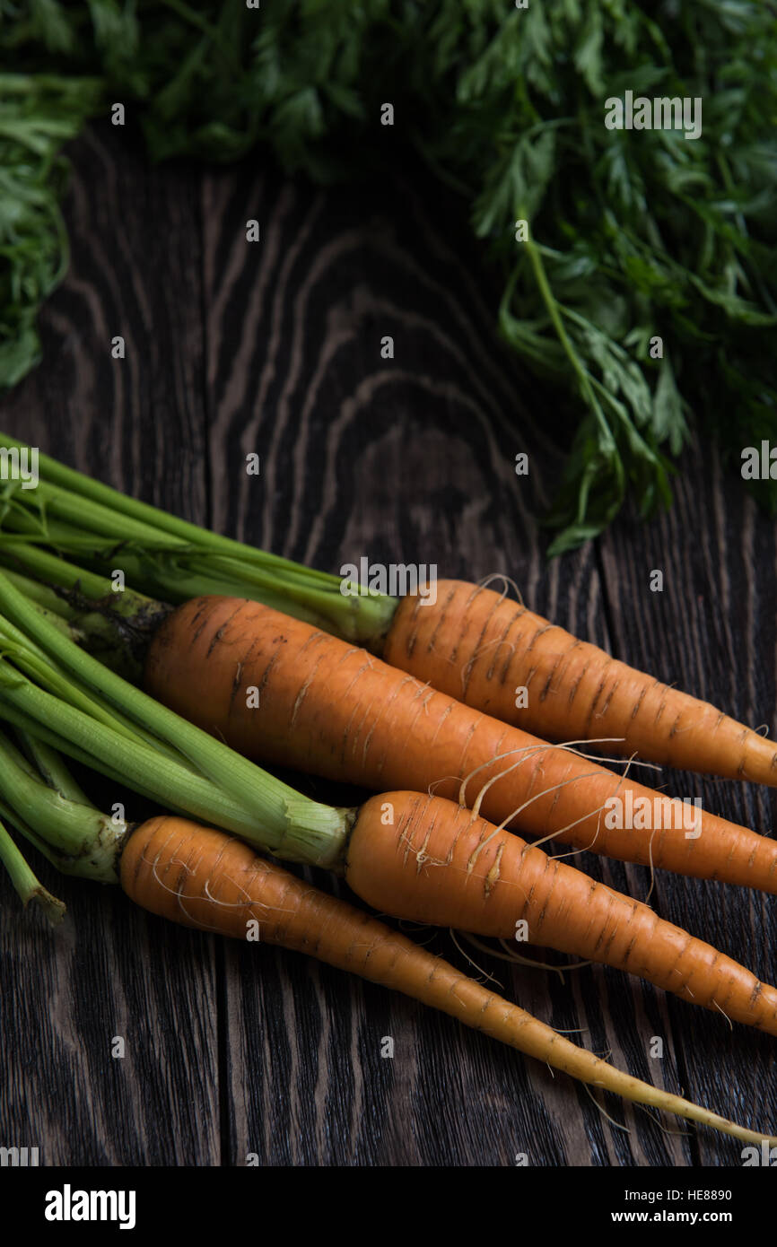 Freshly grown carrots Stock Photo - Alamy