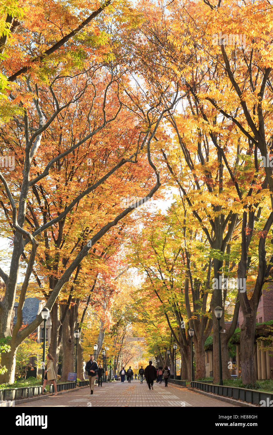 Locust Walk with a crowd of students in autumn on campus, University of ...
